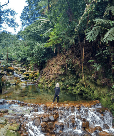 Open Trip | Lembah Tepus | Bogor
