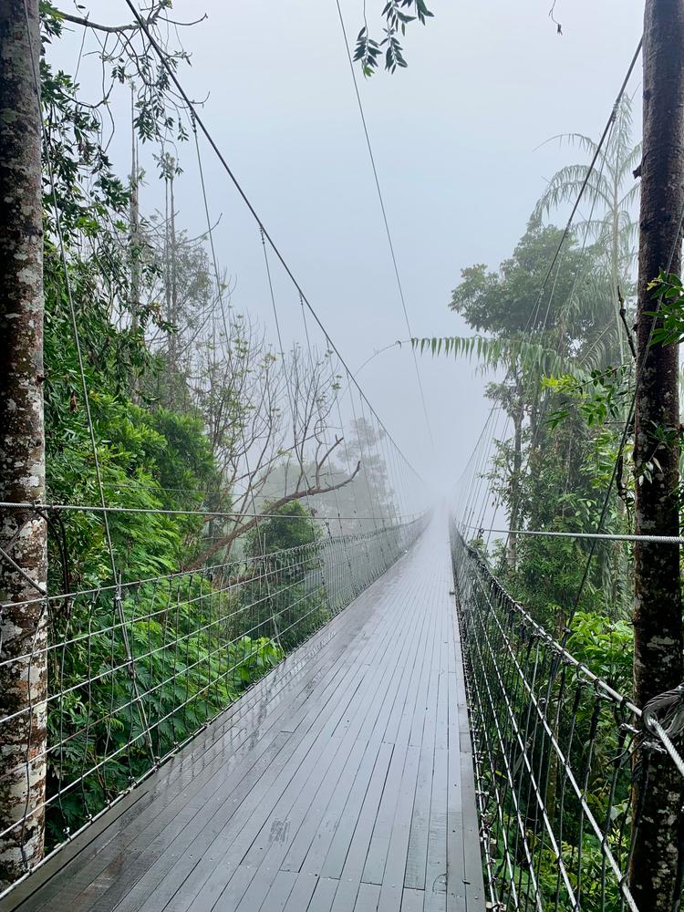 Open Trip | Suspension Bridge Situgunung #Start BSD & Jaksel | Sukabumi