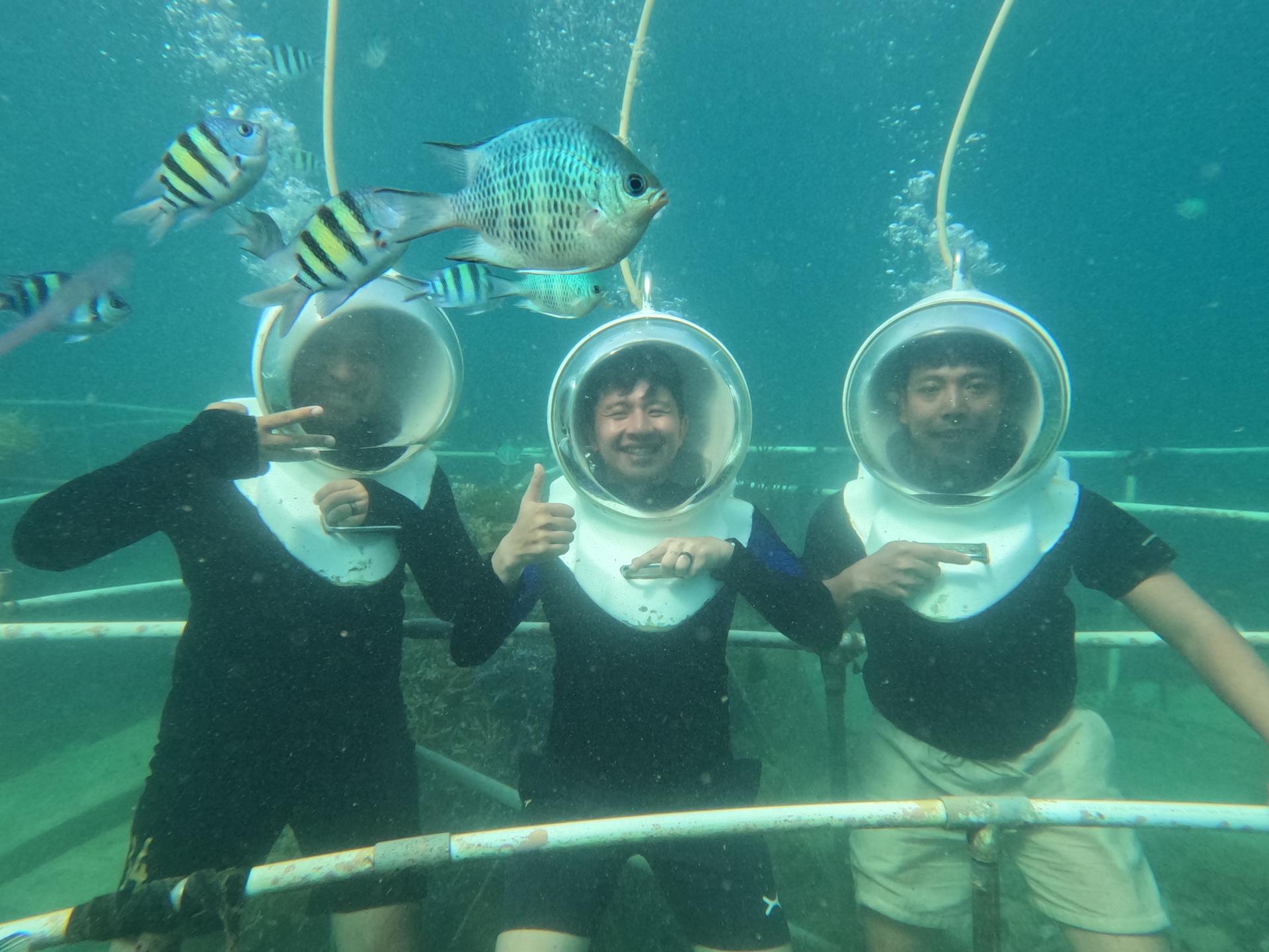 Open Trip | Pulau Wayang | Lampung